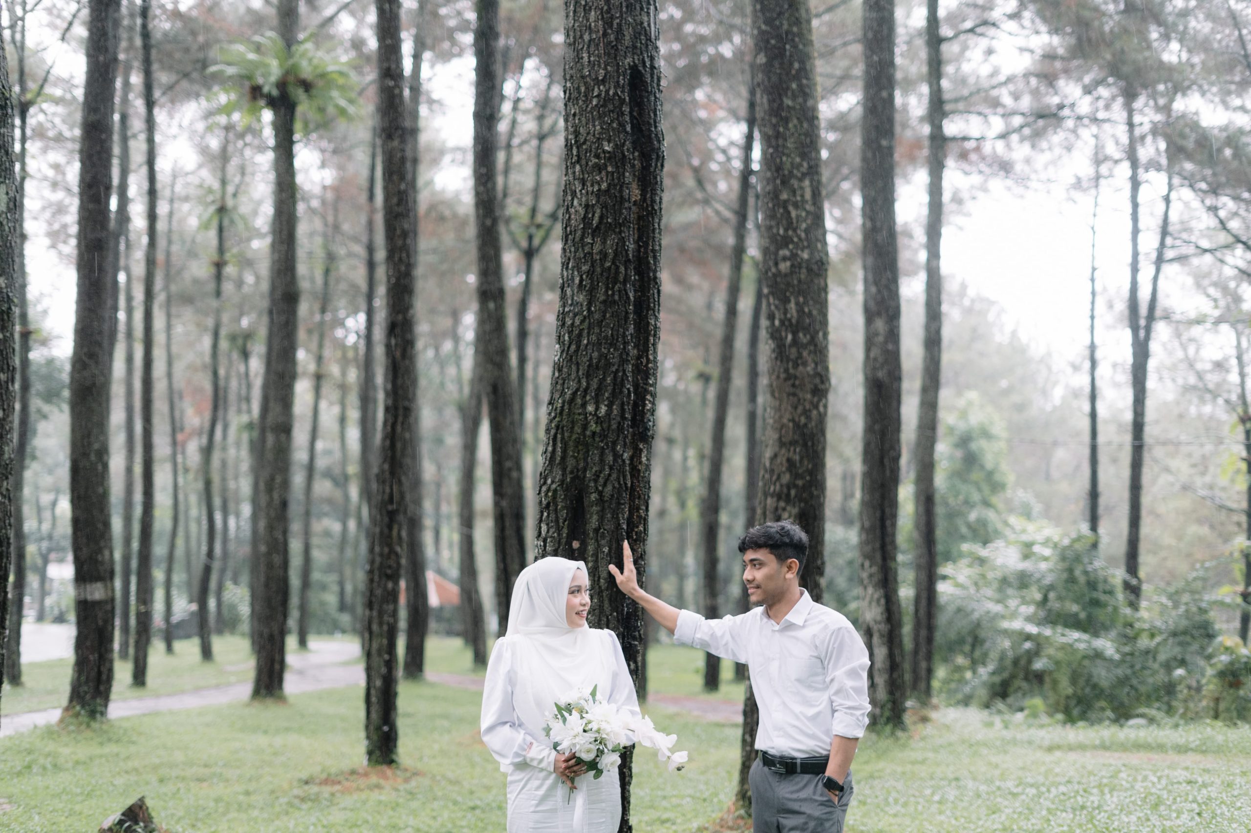 TEMA PREMIUM 10 - My Invita